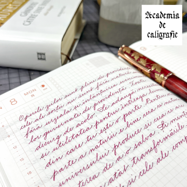Curs caligrafie cursivă - online - Academia de Caligrafie